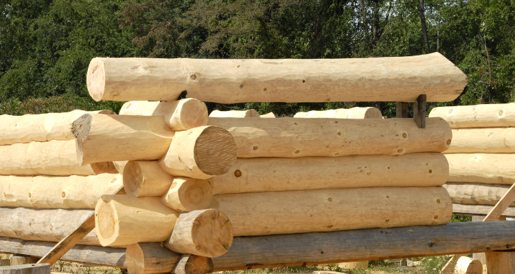 5 Green Benefits of Log & Timber Homes | Know The Show